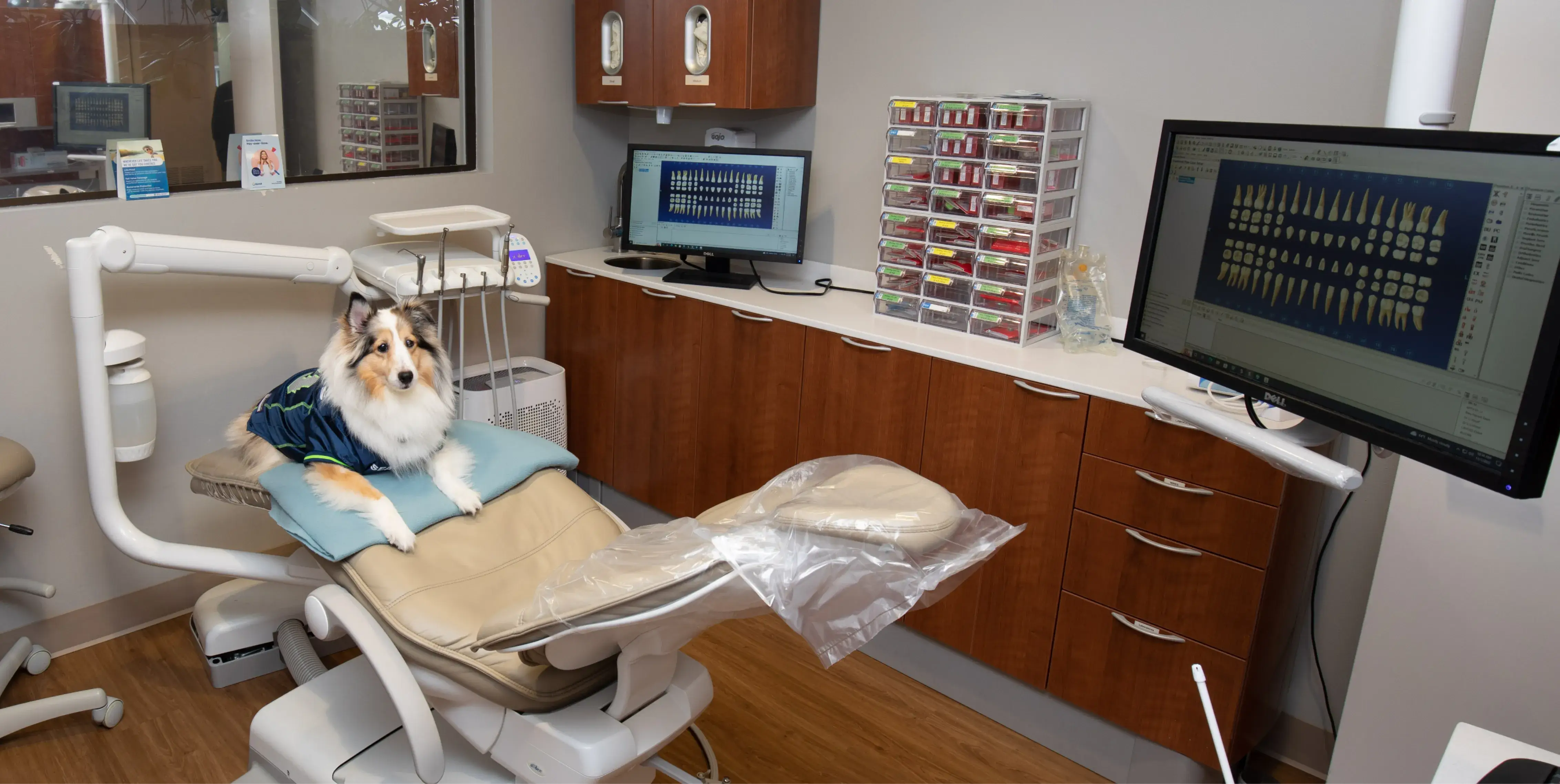 Dentist in Bellevue, WA | Bellevue Dental